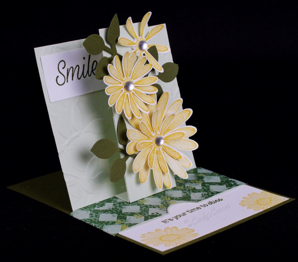 Daisy Lane Slider Pop Up Card – video tutorial – Cindy's Corner